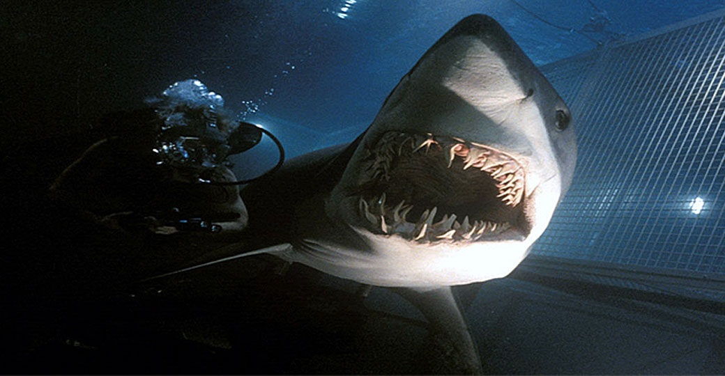 Deep Blue Sea Animatronic Shark